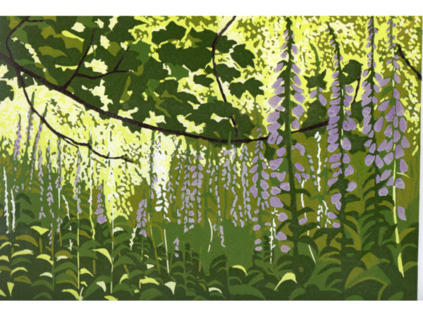 Past prints - Gill Thornton
