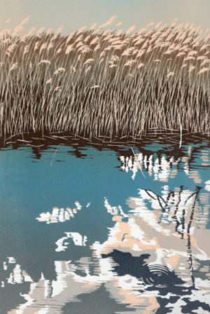 Past prints - Gill Thornton