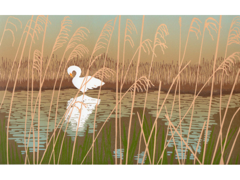 Past prints - Gill Thornton