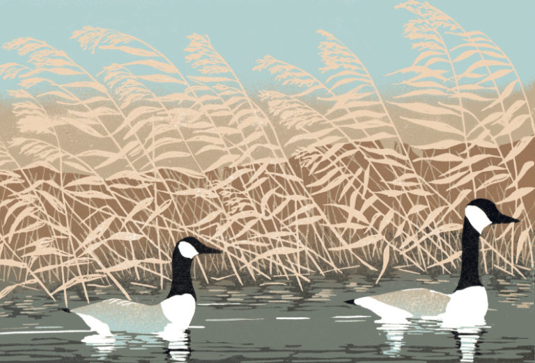 Past prints - Gill Thornton
