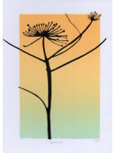 Cards – Gill Thornton