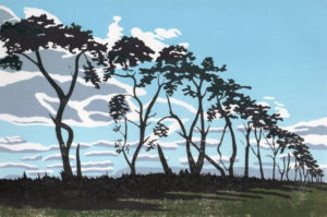 Past prints - Gill Thornton