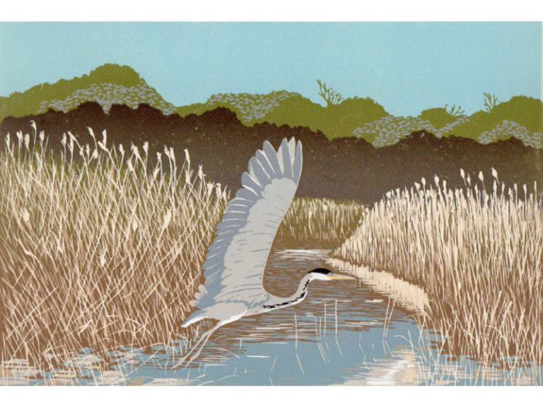 Past prints - Gill Thornton