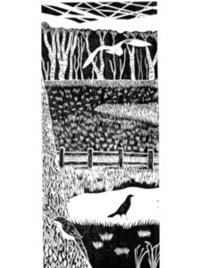 Gill Thornton – Printed. Nature.